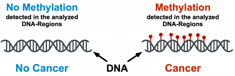 WID®-easy information for patients
