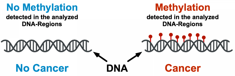 WID®-easy information for patients
